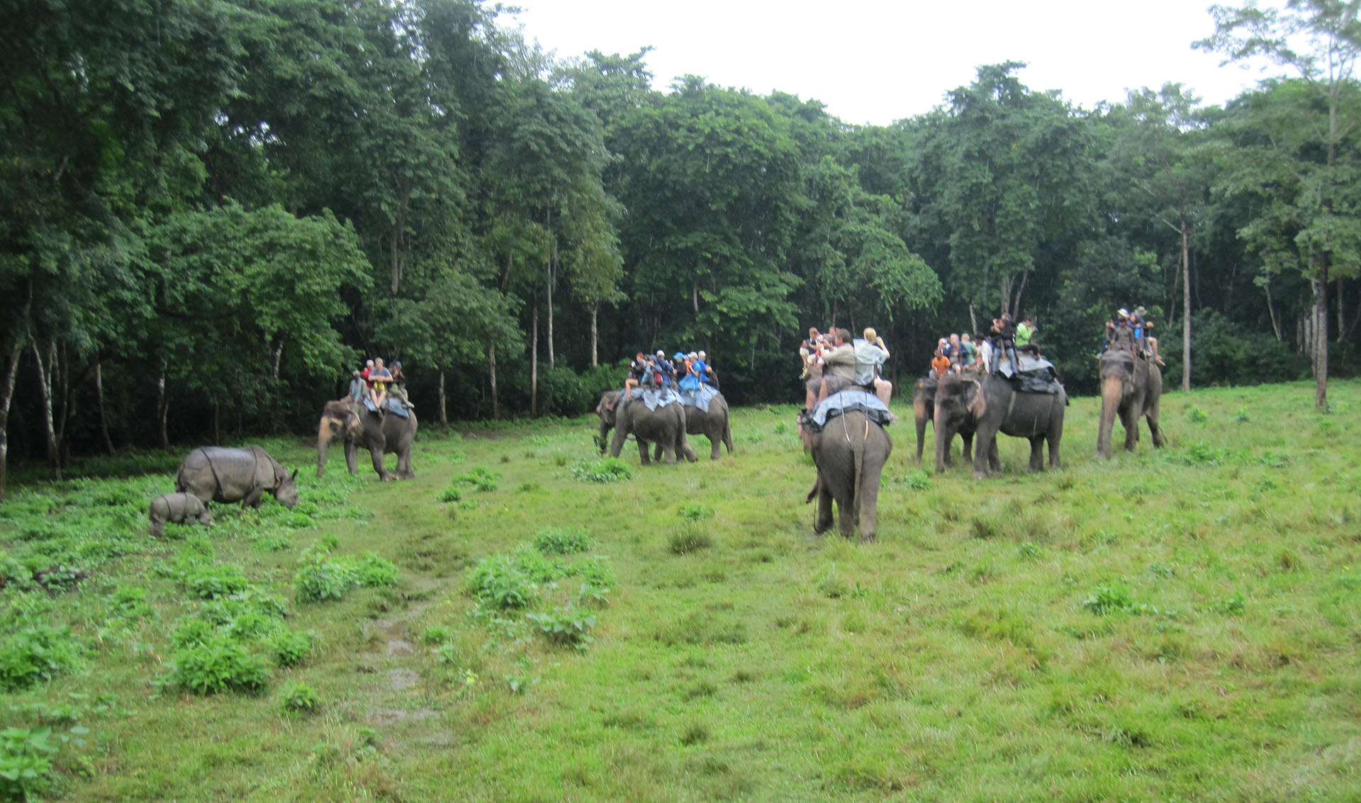 Chitwan Jungle Safari Tour - Hunting in Nepal